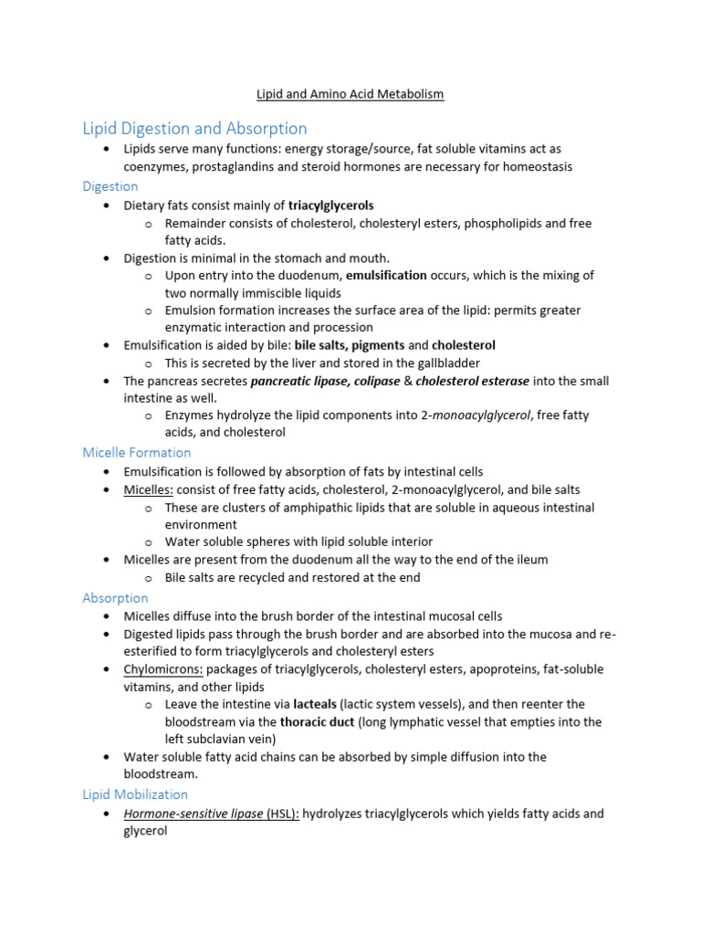 Lipid and Amino Acid Metabolism Overview | PDF | Lipoprotein | Cholesterol