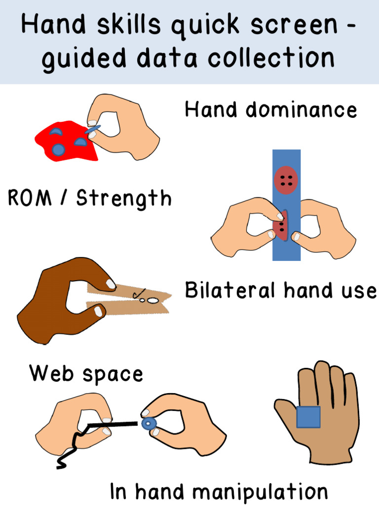 Hand Skills Assessment Tool | PDF | Hand | Thumb