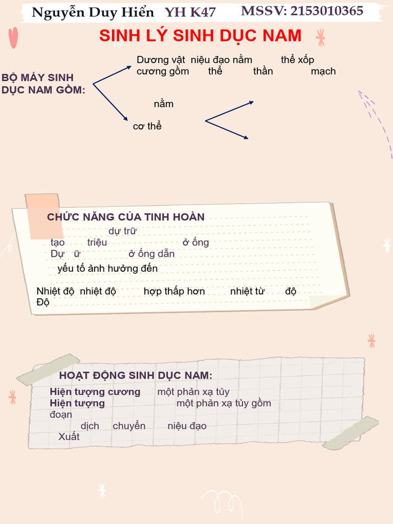 Porfolio - Sinh Lý Sinh D C Nam | PDF