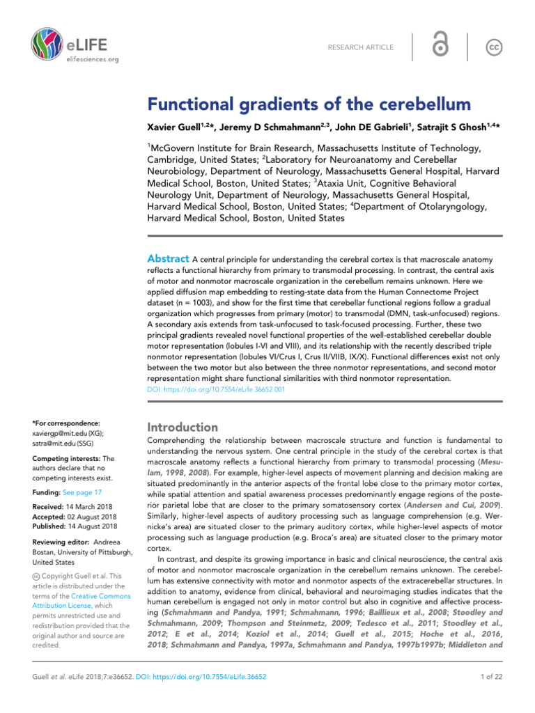 小脑梯度功能Functional Gradients of the Cerebellum | PDF | Cerebellum ...