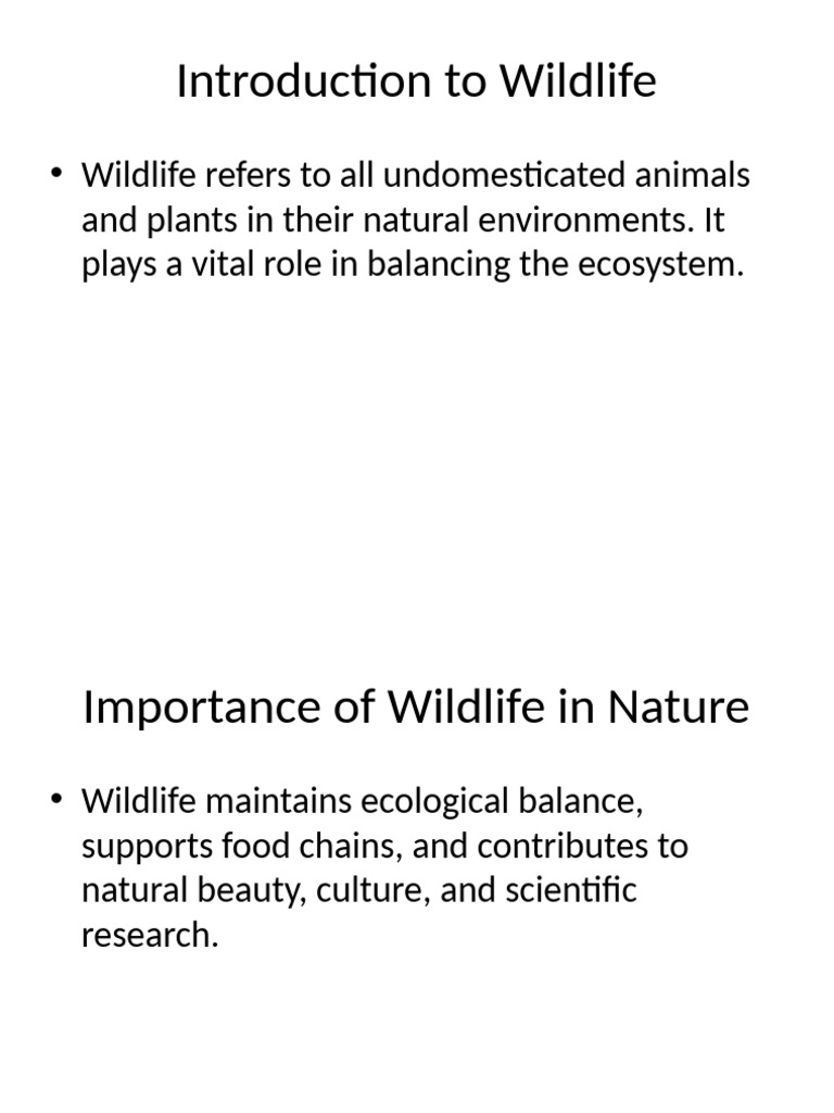 Wildlife Presentation | PDF