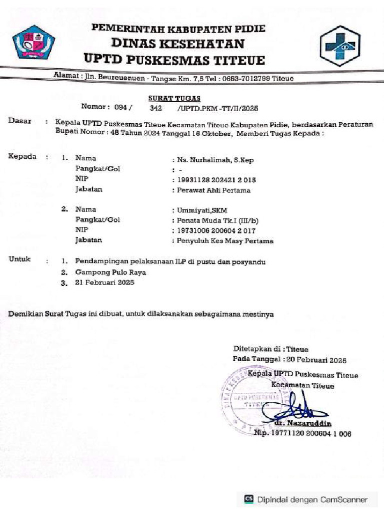 Pendampingan ILP Di Posyandu Pulo Raya _compressed | PDF