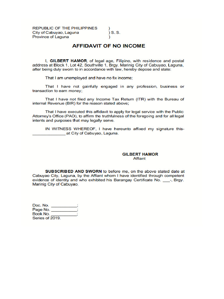 Affidavit of No Income Format | PDF
