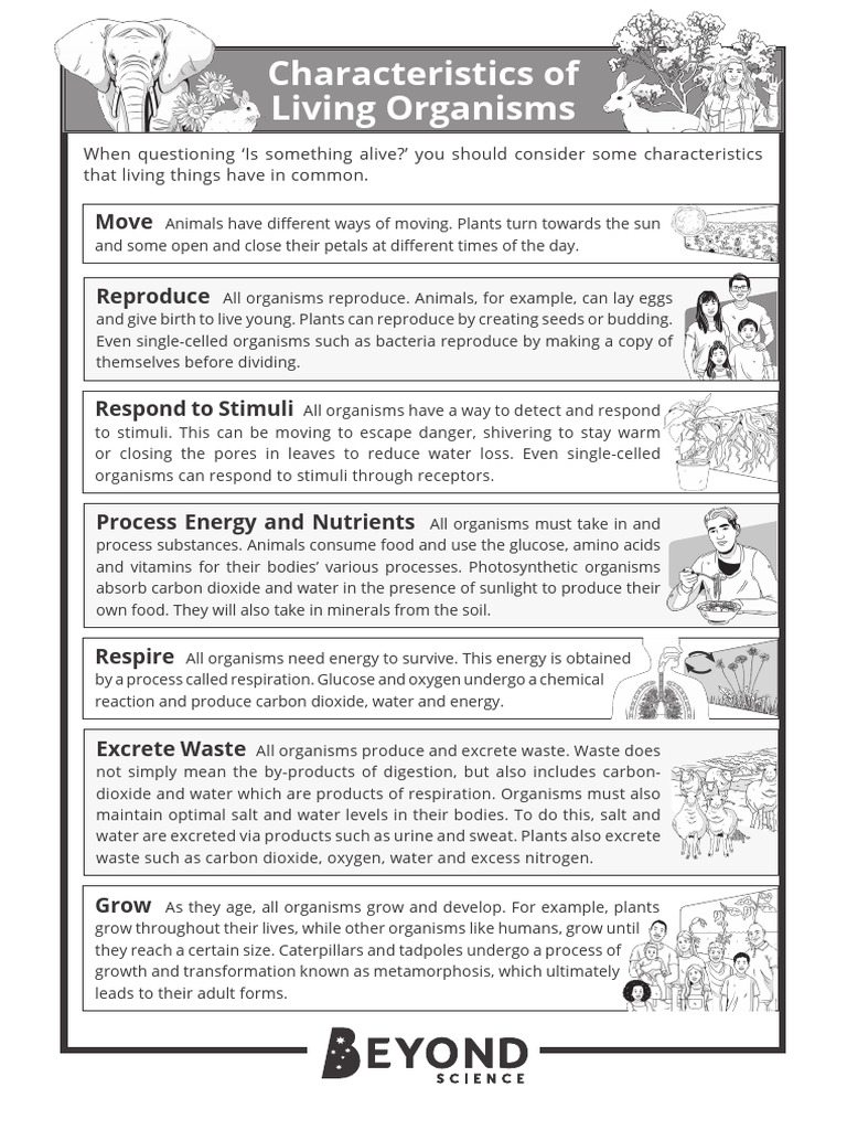 Characteristics of Living Organisms | PDF