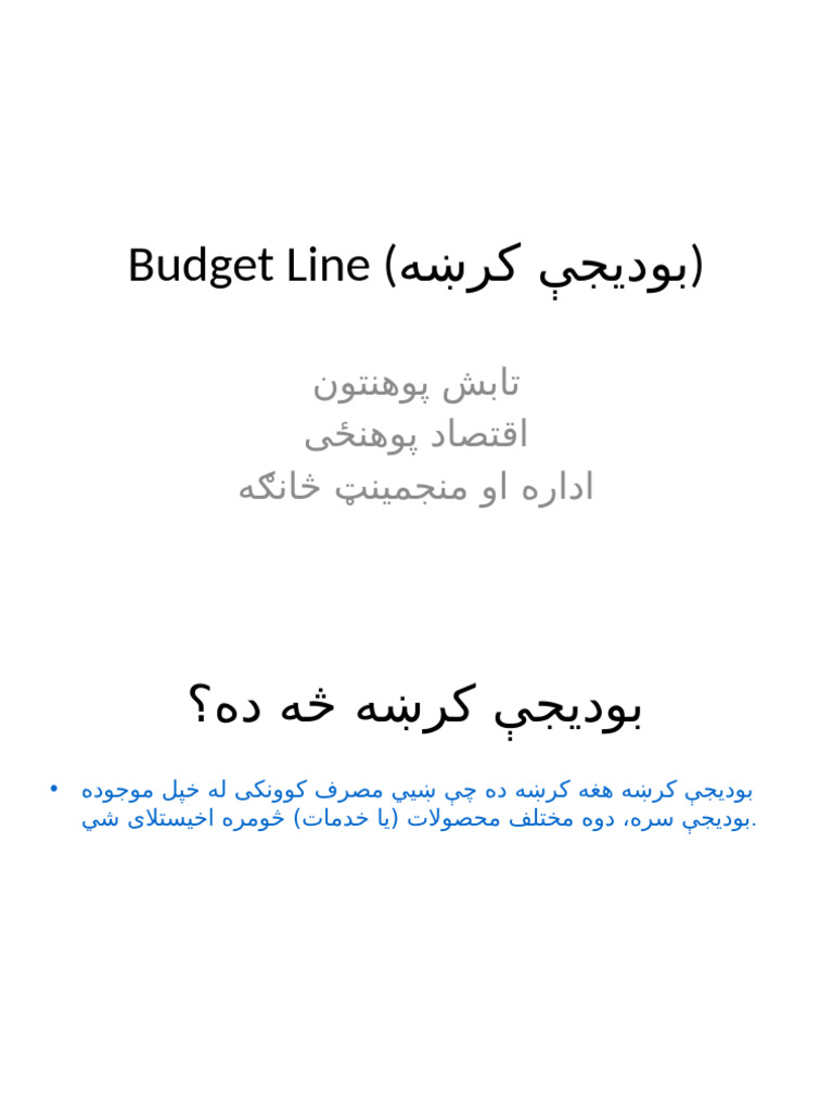 Budget Line Presentation Updated | PDF