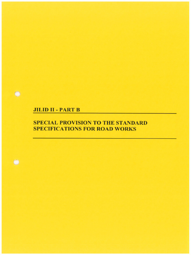 Special Provision | PDF