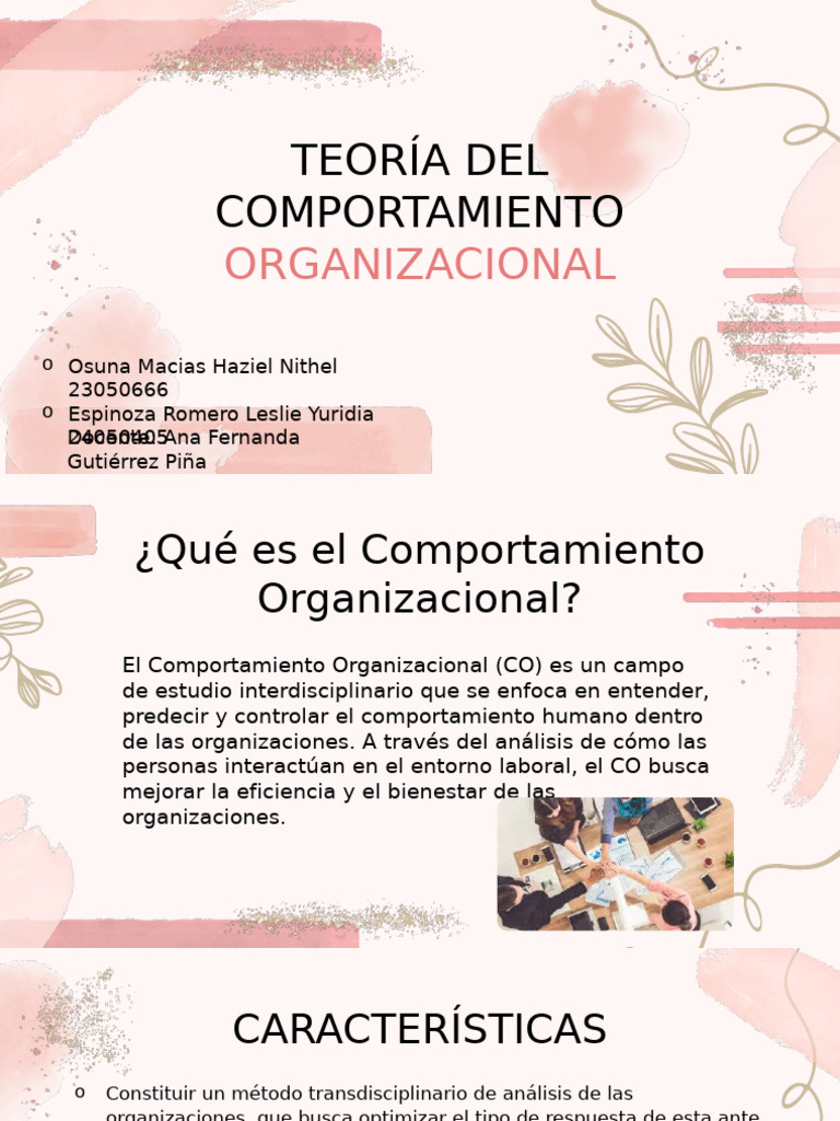 Teoria Del Comportamiento Organizacional | PDF | Comportamiento ...