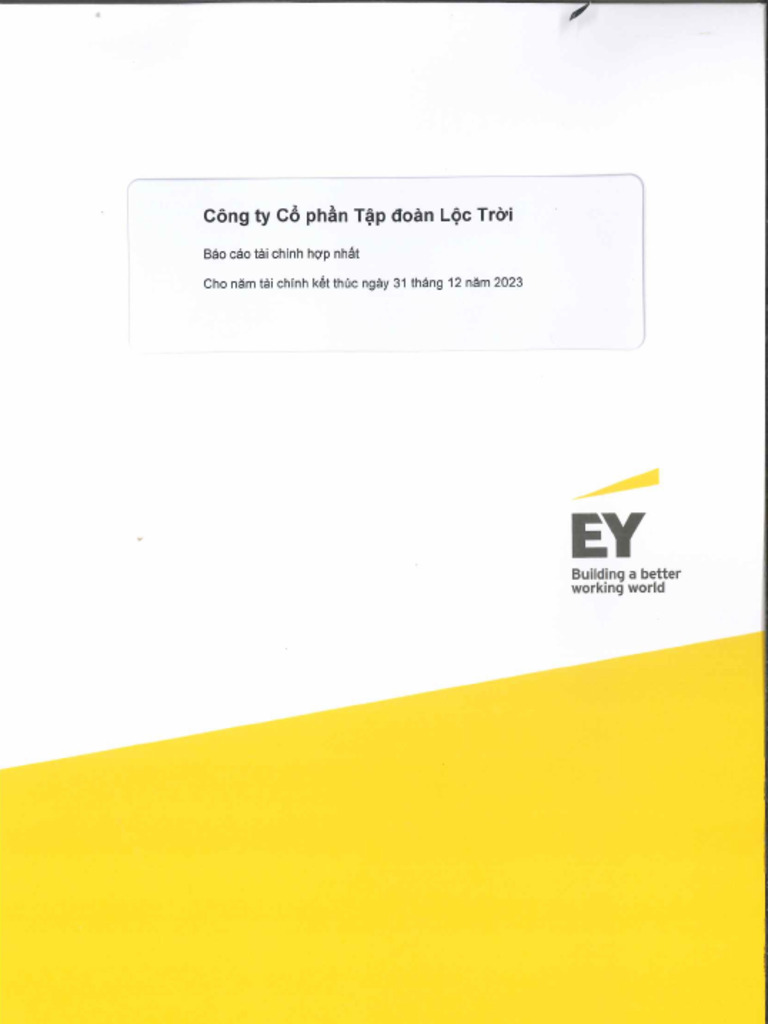 BCTC TĐ L C TR I 2023 | PDF