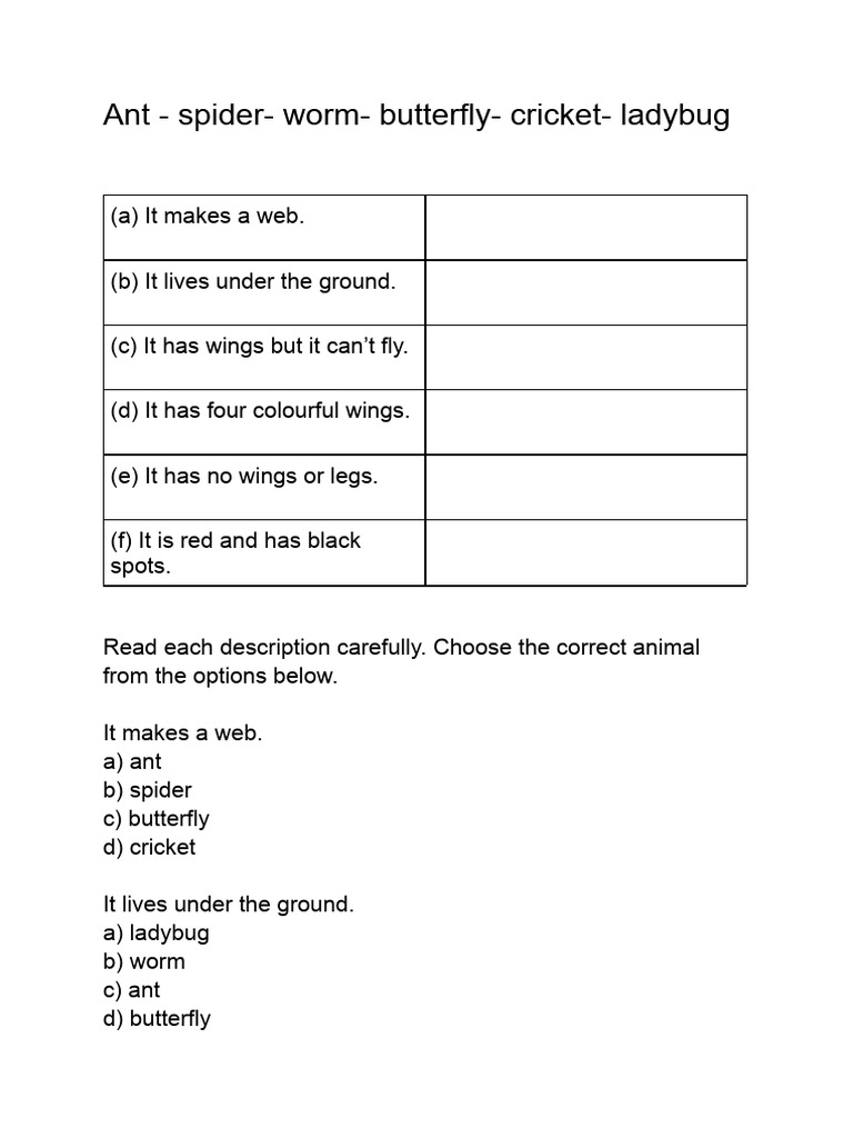 Vocabulary Revision Year 2 | PDF