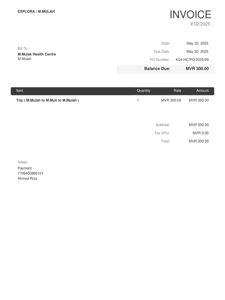 Invoice 02 - 2025 | PDF