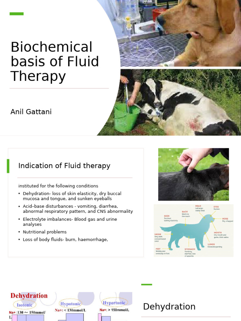 Biochemical Principles of Fluid Therapy | PDF | Dehydration | Physiology