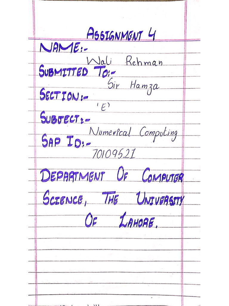 NC Assignment 4 | PDF