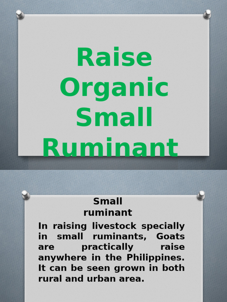 UC6 Raise Organic Small Ruminant | PDF | Ruminant | Goat