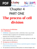 Biology Chapter 10 Cell Cycle and Cell Division Class 11 Notes PDF ...
