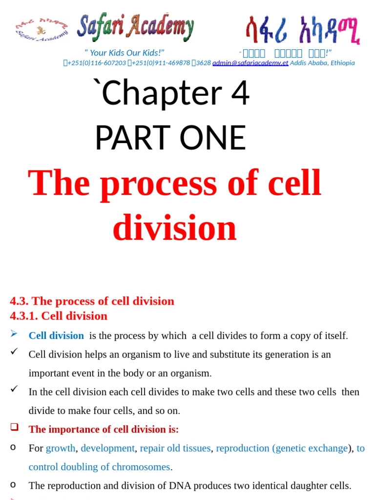 Biology Lesson Note For Grade 11 | PDF | Dominance (Genetics) | Meiosis