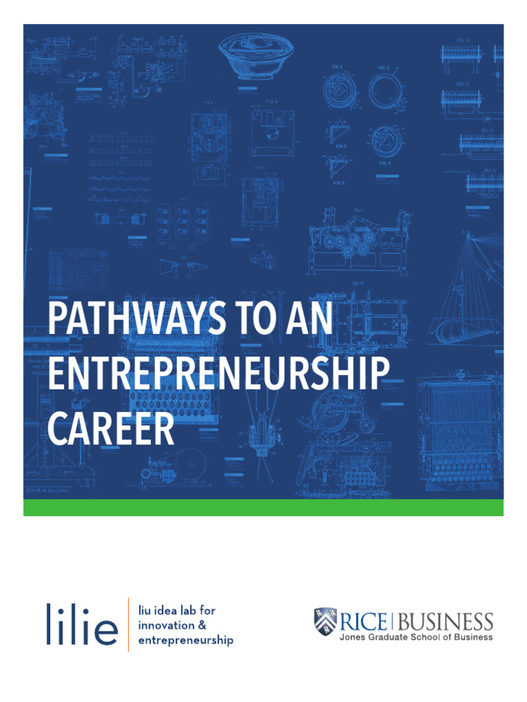 Pathways to Entrepreneurship Careers | PDF | Entrepreneurship | Venture ...