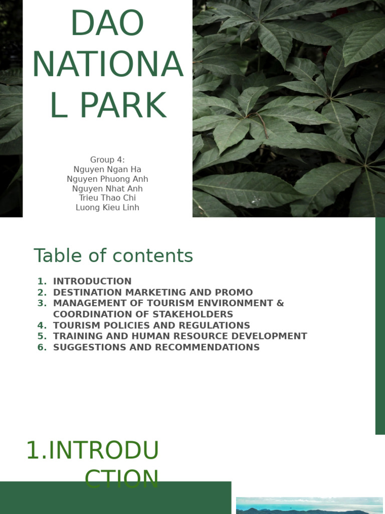 DM Presentation Group 4 | PDF | Sea Turtle | Tourism