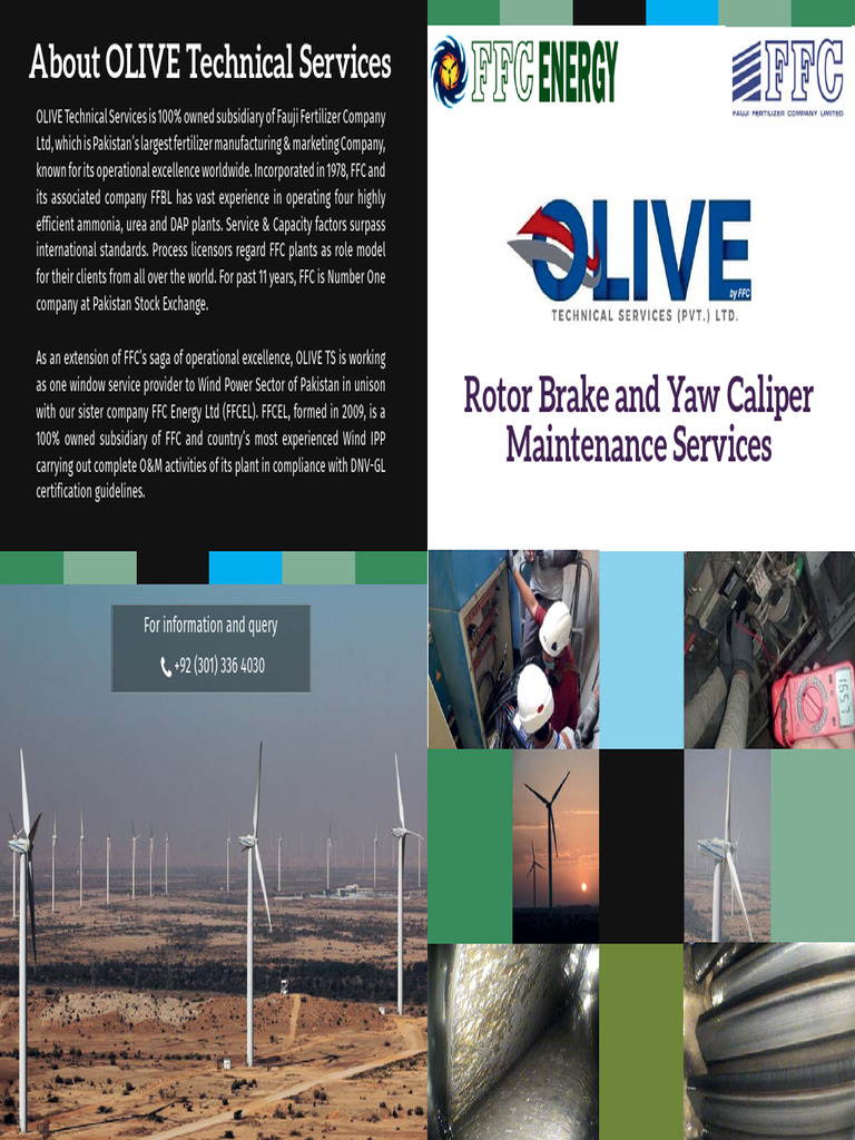OLIVE TS Brochure - EOWI Services | PDF