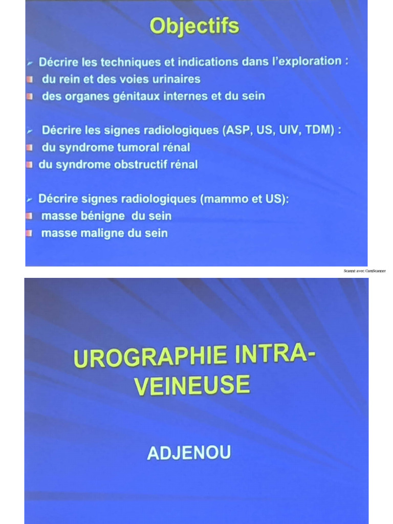 Imagerie Uro Genitale | PDF