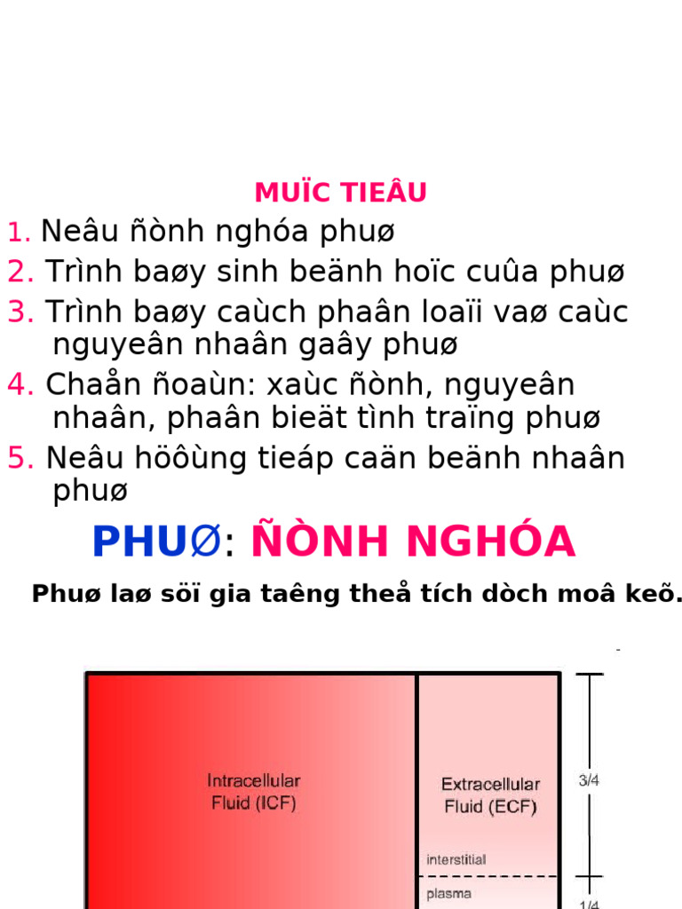 Chan Doan Phu | PDF