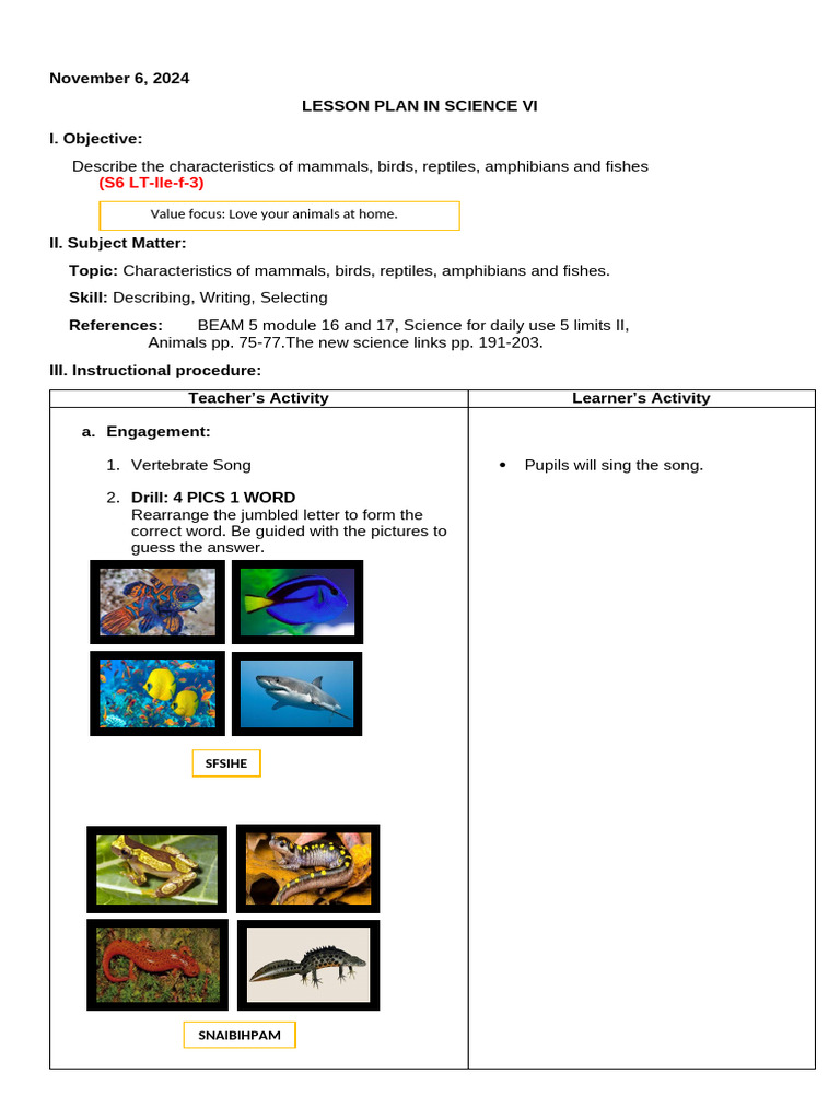 Characteristics of Vertebrates Lesson Plan | PDF | Amphibian | Reptile