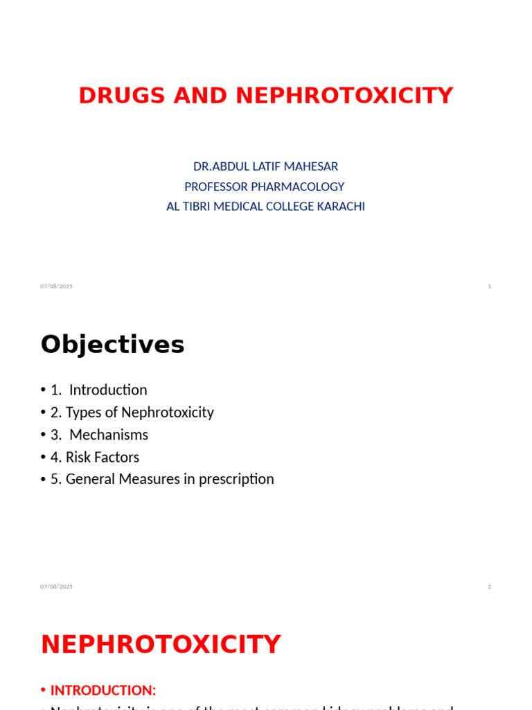 Understanding Drug-Induced Nephrotoxicity | PDF | Angiotensin ...