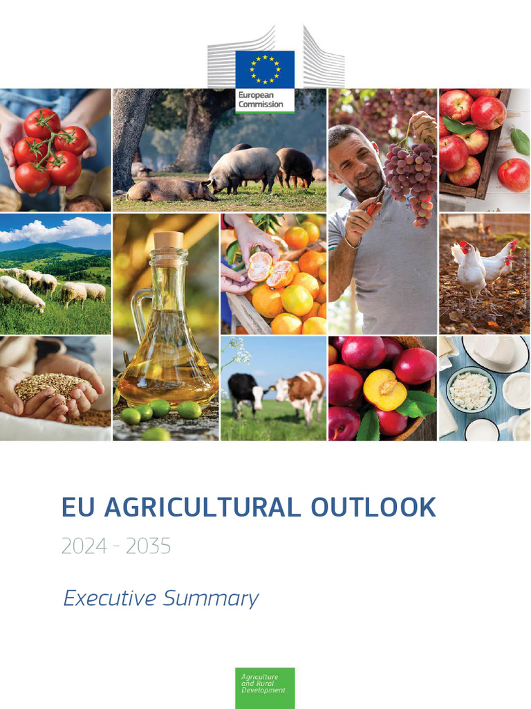 Agricultural Outlook 2024 Executive Summary - en | PDF | Agriculture | Meat
