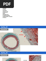 Opdracht Thuis Skeletje Knutselen | PDF