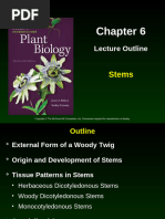 Internal Structure of Stems | PDF | Plant Stem | Tissue (Biology)