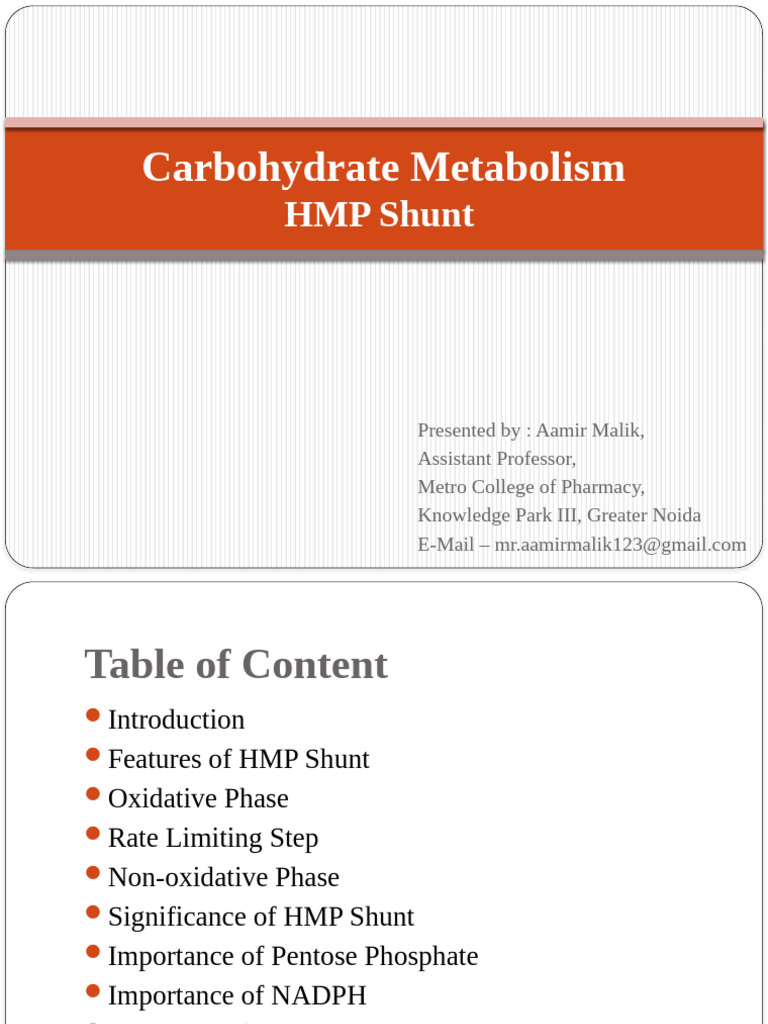 HMP Shunt: Key Aspects of Carbohydrate Metabolism | PDF | Nicotinamide ...