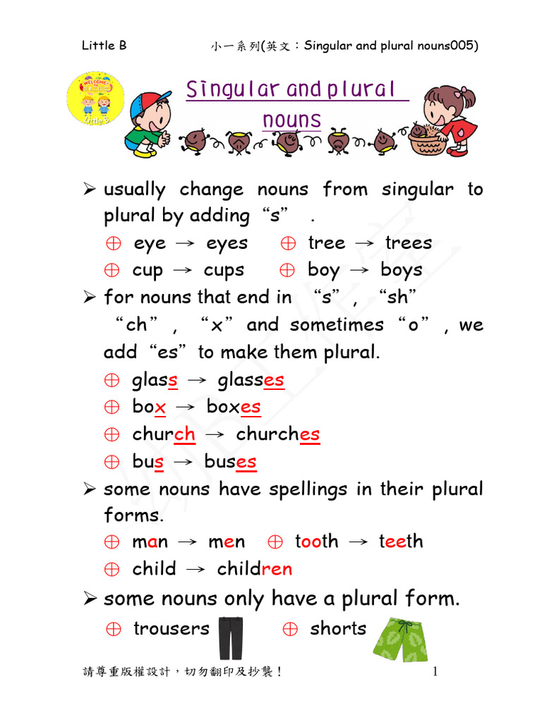 Singular and Plural Nouns Guide | PDF | Plural | Linguistic Morphology