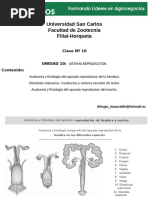 Aparato Reproductor Del Cerdo | PDF | Sistema reproductivo | Hormona ...