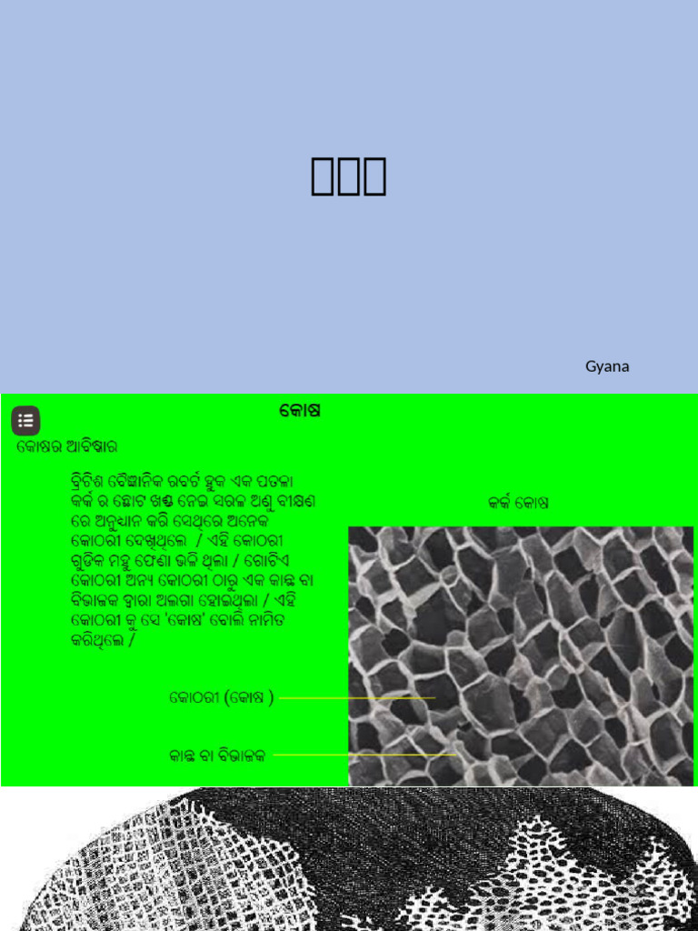 Cell Class 8 | PDF