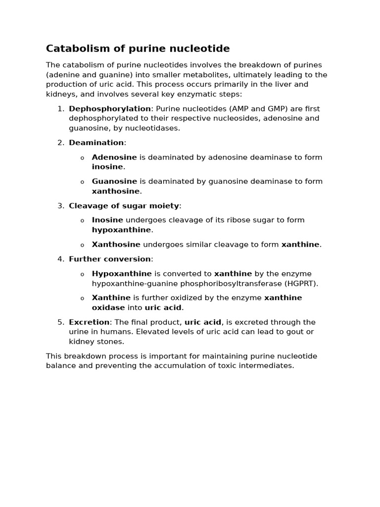 Purine Nucleotide Catabolism Process | PDF | Rna | High Performance ...