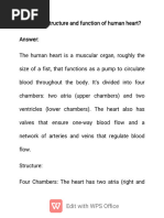 Structure of Human Heart | PDF
