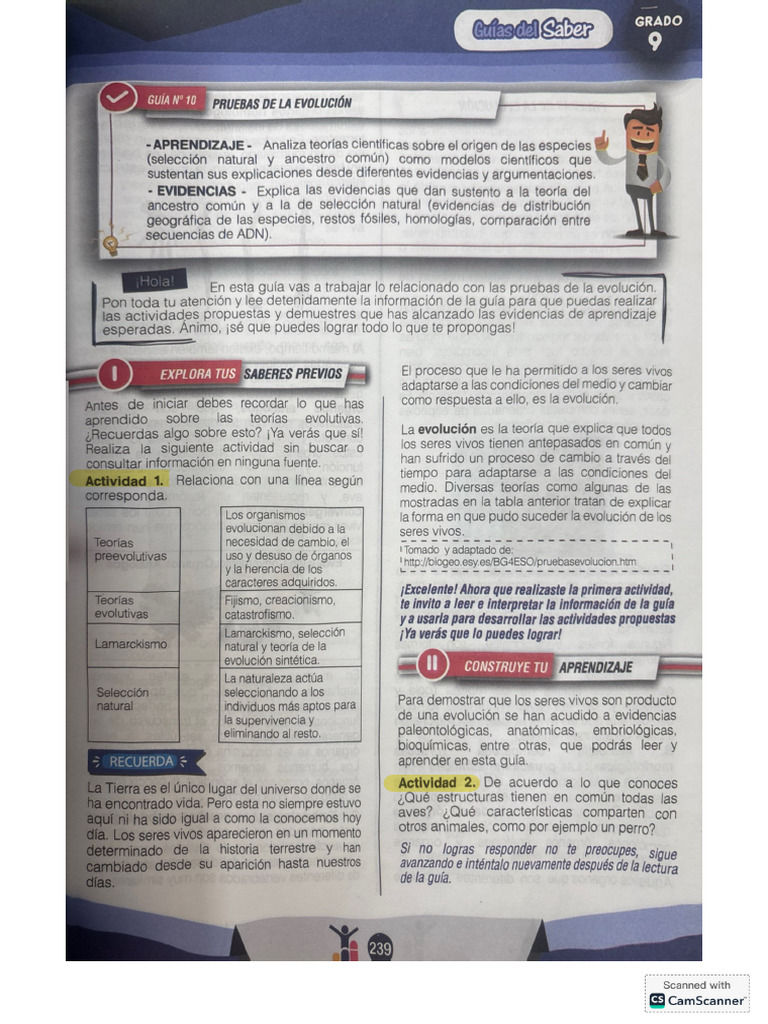 Pruebas de La Evolucion | PDF
