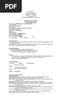 Dossier oral bac LLCE : guide pratique | PDF | Arts