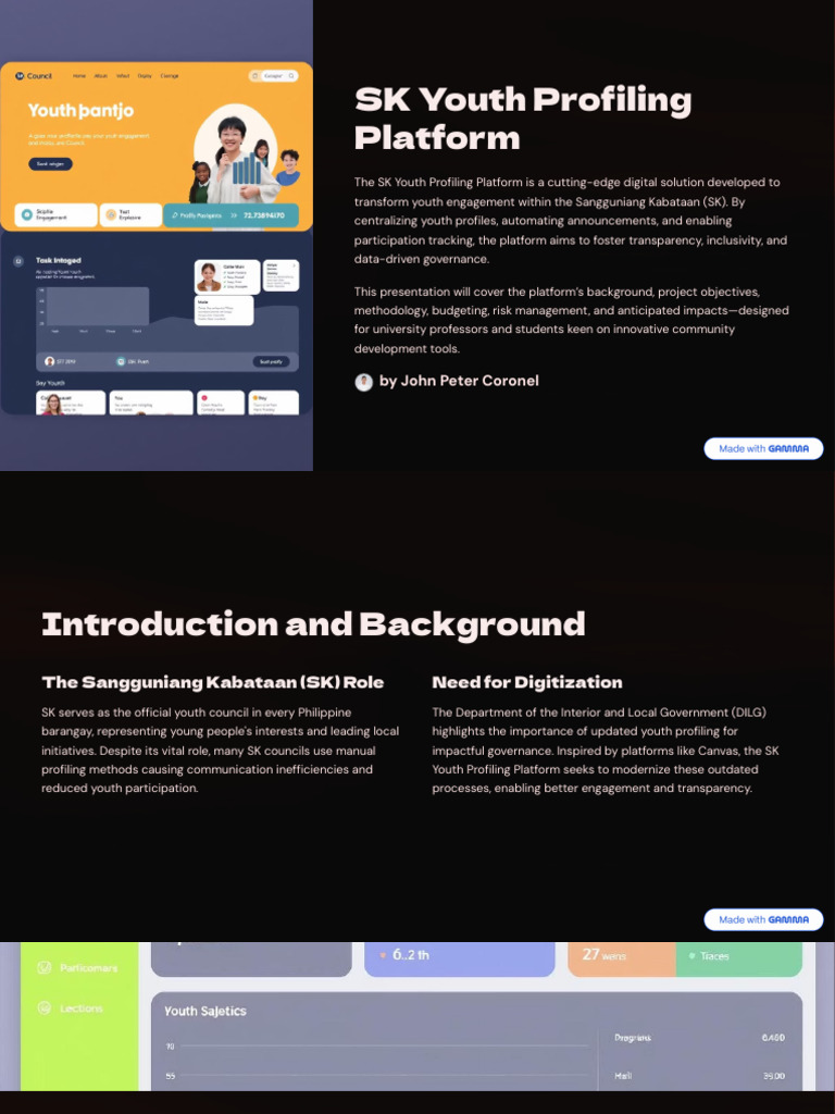 SK Youth Profiling Platform | PDF | Web Development | Information Technology Management