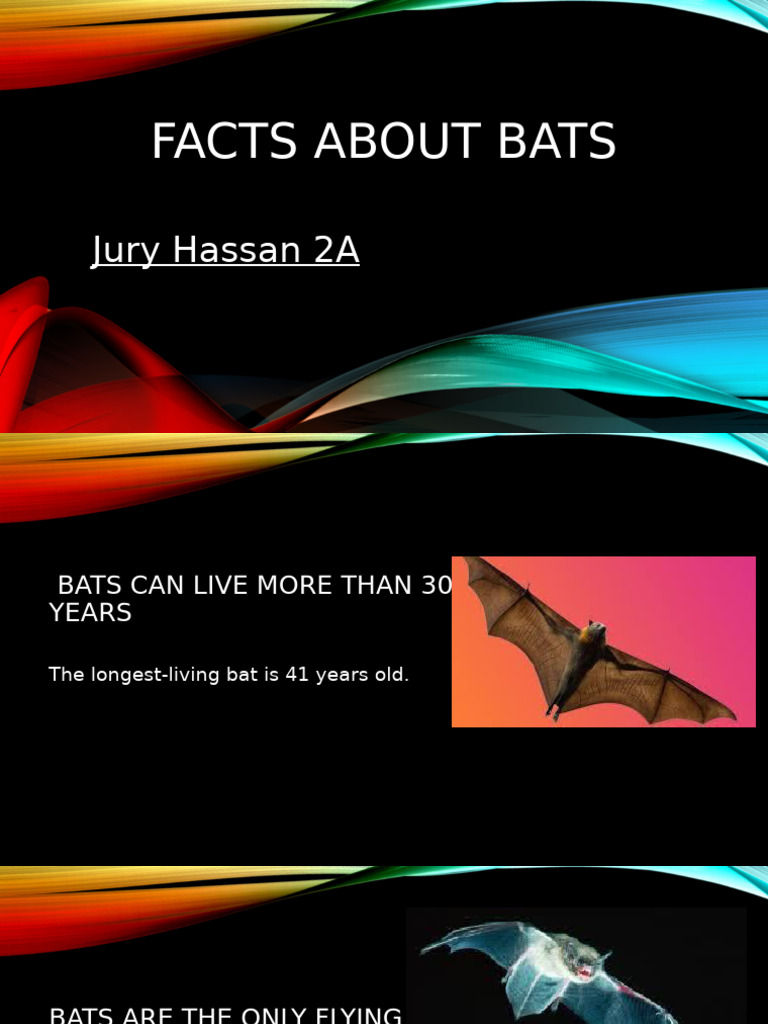 Science - Facts About Bats | PDF