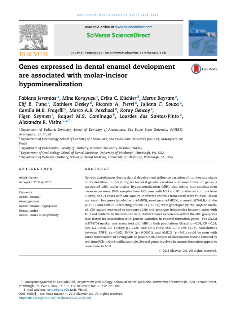 Genes Expressed in Dental Enamel Development | PDF | Human Tooth ...