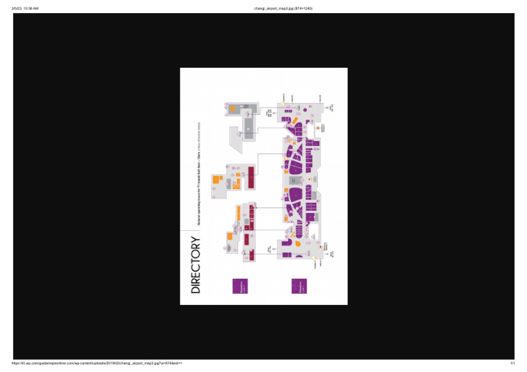 Changi Airport Terminal 3 Map | PDF