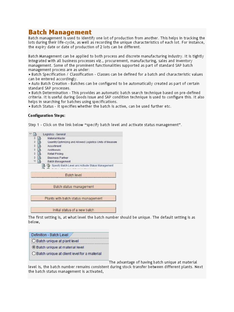 Batch Management: Configuration Steps | PDF | Business Process ...