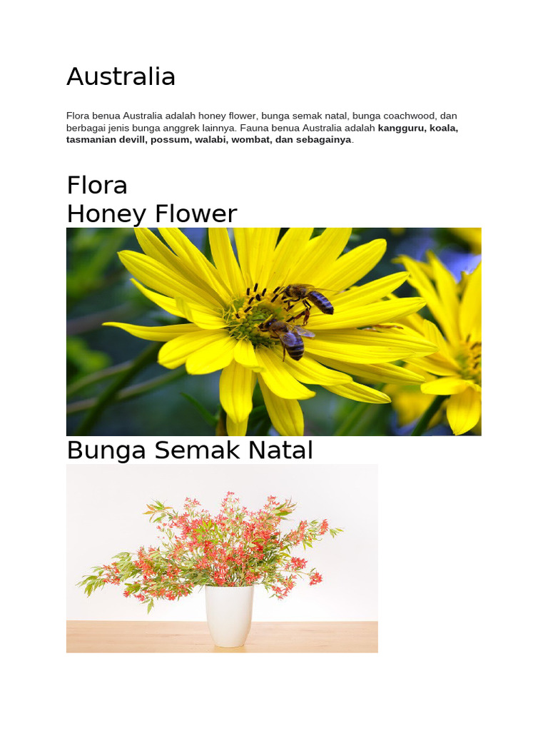Flora dan Fauna Endemik Australia | PDF