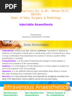 Pentoject | PDF | Injection (Medicine) | Intravenous Therapy