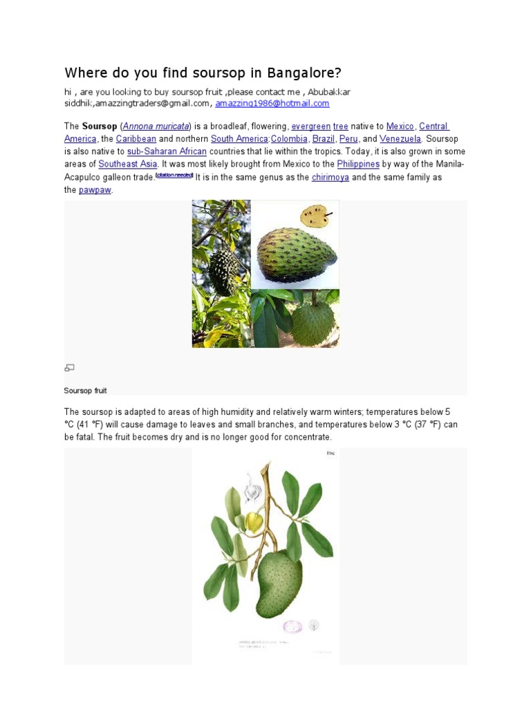 Where Do You Find Soursop in Bangalore | PDF | Fruit | Edible Plants
