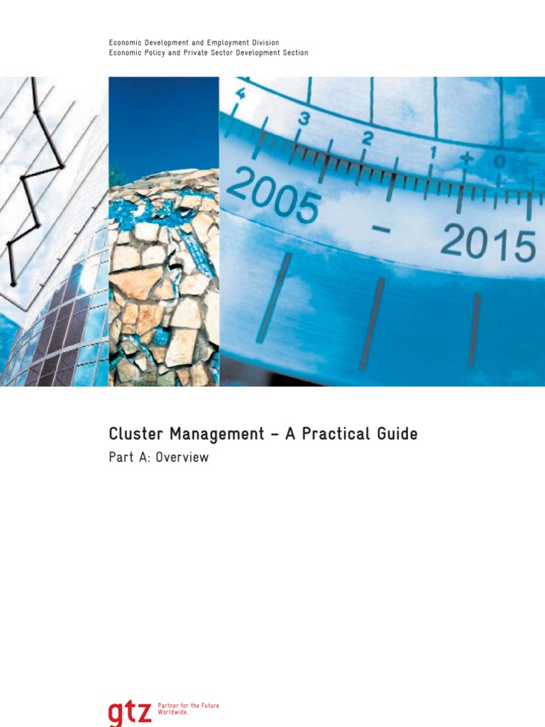 Cluster Management for SMEs | PDF | Strategic Management | Business Plan
