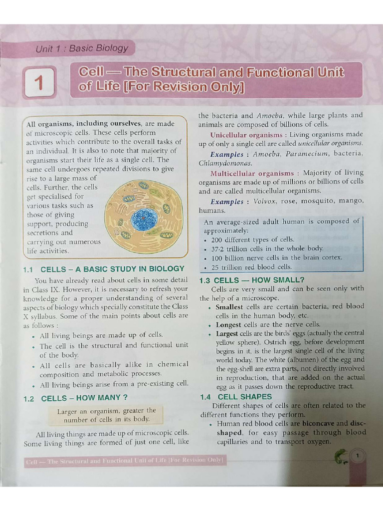 Concise Biology Class 10 Chapter 1 | PDF
