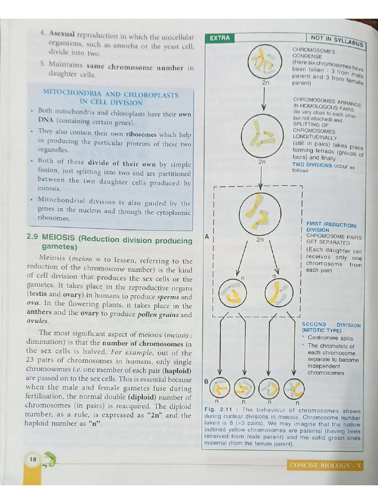 Concise Biology Class 10 Chapter 2.3 | PDF