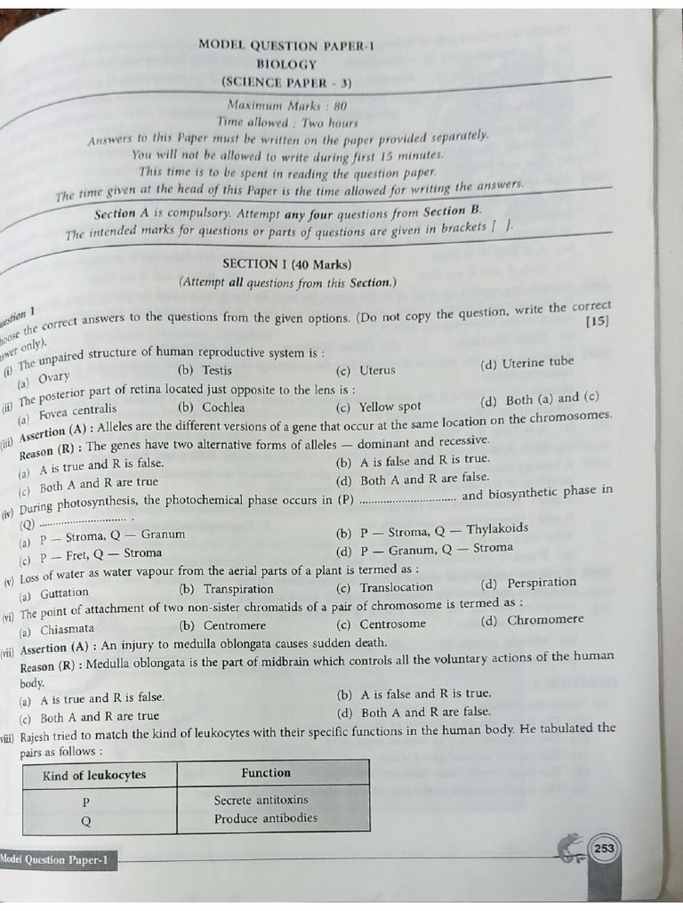 Modern Question Paper 1 Biology Class 10 | PDF