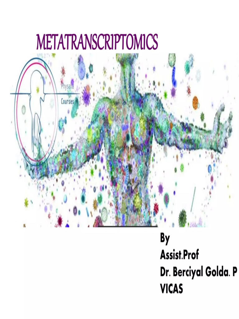 Met A Transcript o Mics | PDF